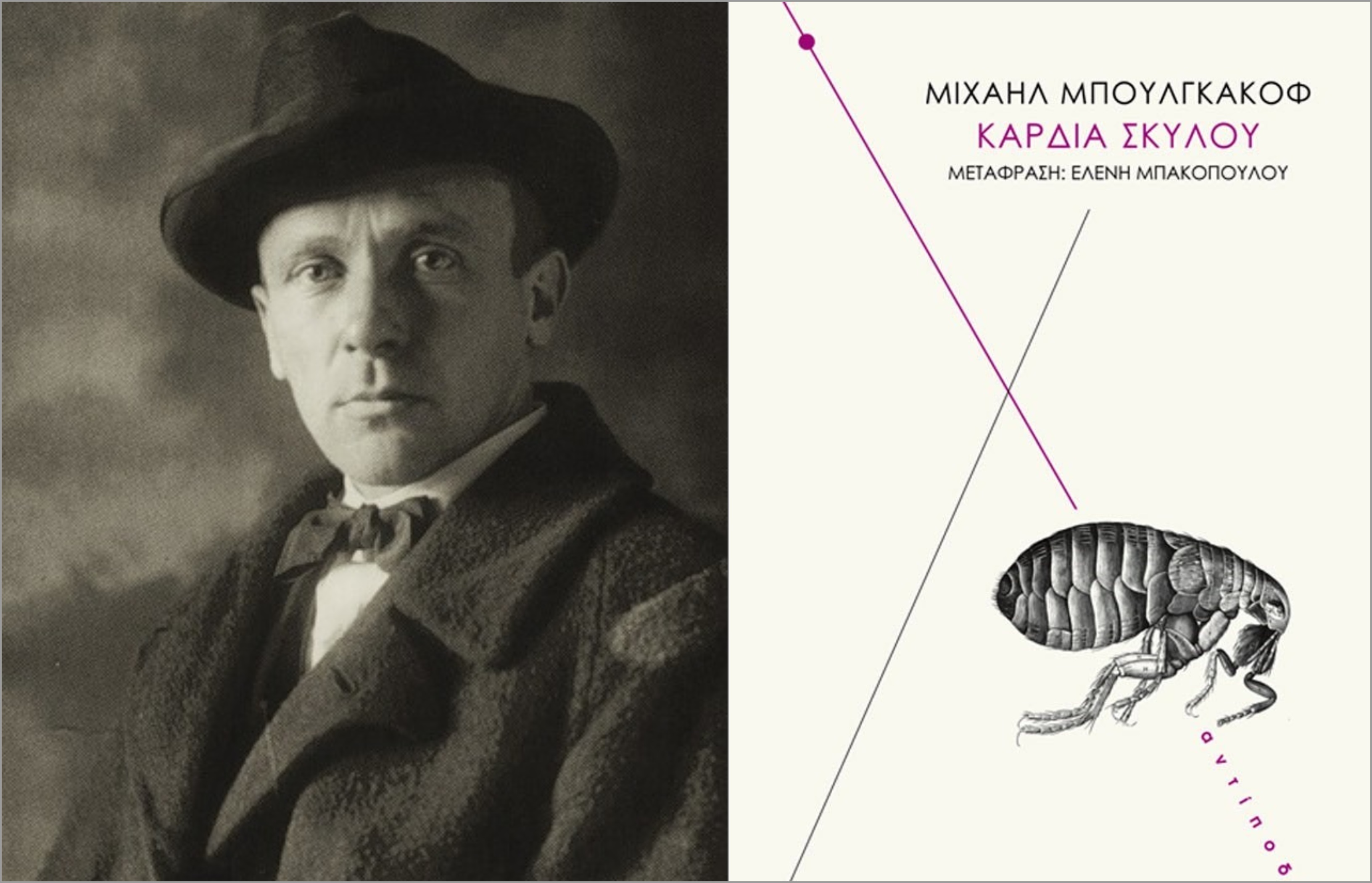 «Η καρδιά ενός σκύλου»- Η κριτική στη ΝΕΠ μέσα από ένα εξαιρετικό ...