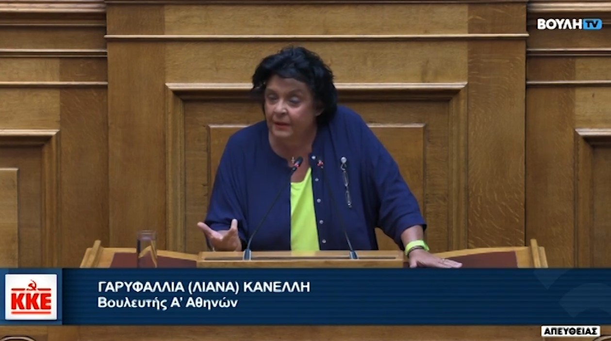 Λιάνα Κανέλλη: «Λέτε ακριβώς ό,τι έλεγε η Χρυσή Αυγή στη ...