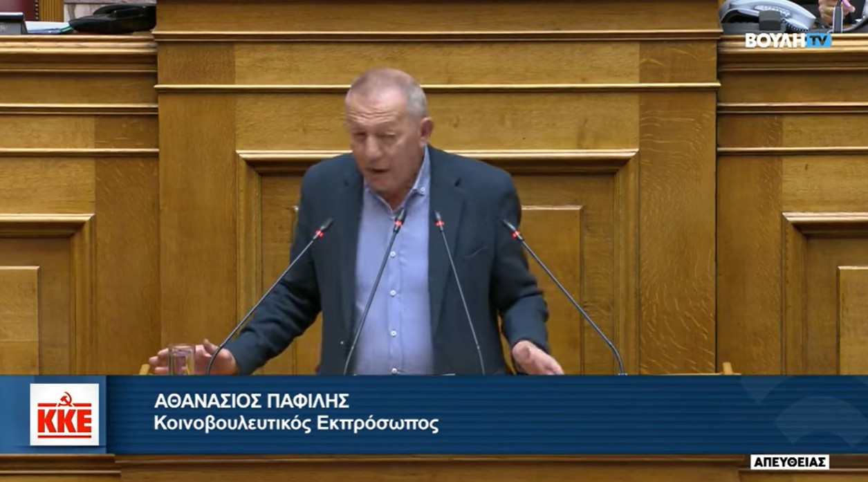 Θανάσης Παφίλης: Δεν είναι η παθογένεια της Ελλάδας η αιτία για τα ...